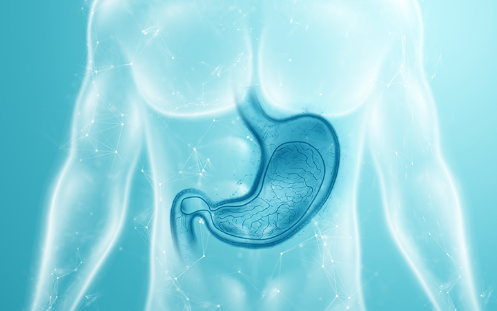 Duodenal Switch (Biliopancreatic Diversion) Surgery | Phoenix Healthy