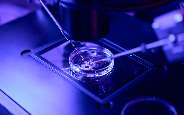 What is PGD (Preimplantation Genetic Diagnosis)? | Phoenix Healthy